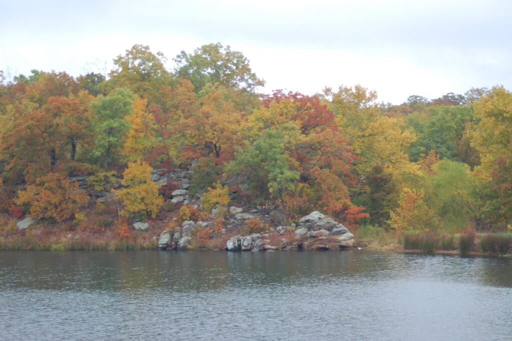 Fry Lake – Geek Reprieve