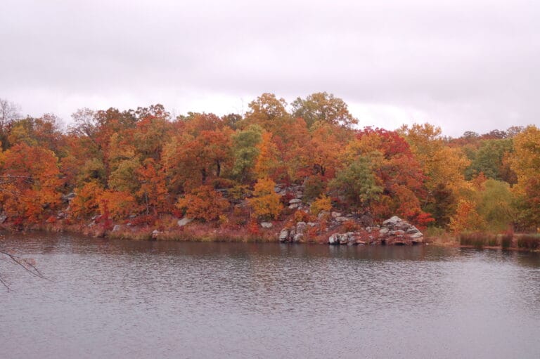 Fry Lake – Geek Reprieve