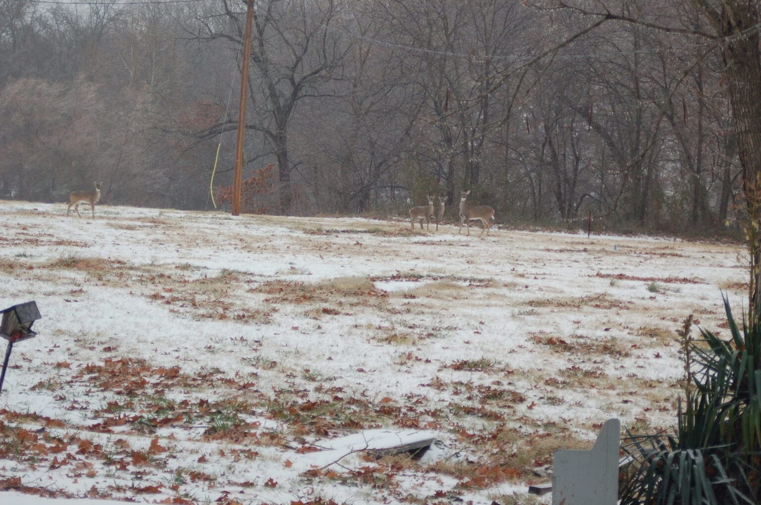 Fry Lake – Geek Reprieve