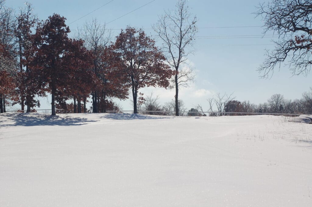 Fry Lake – Geek Reprieve