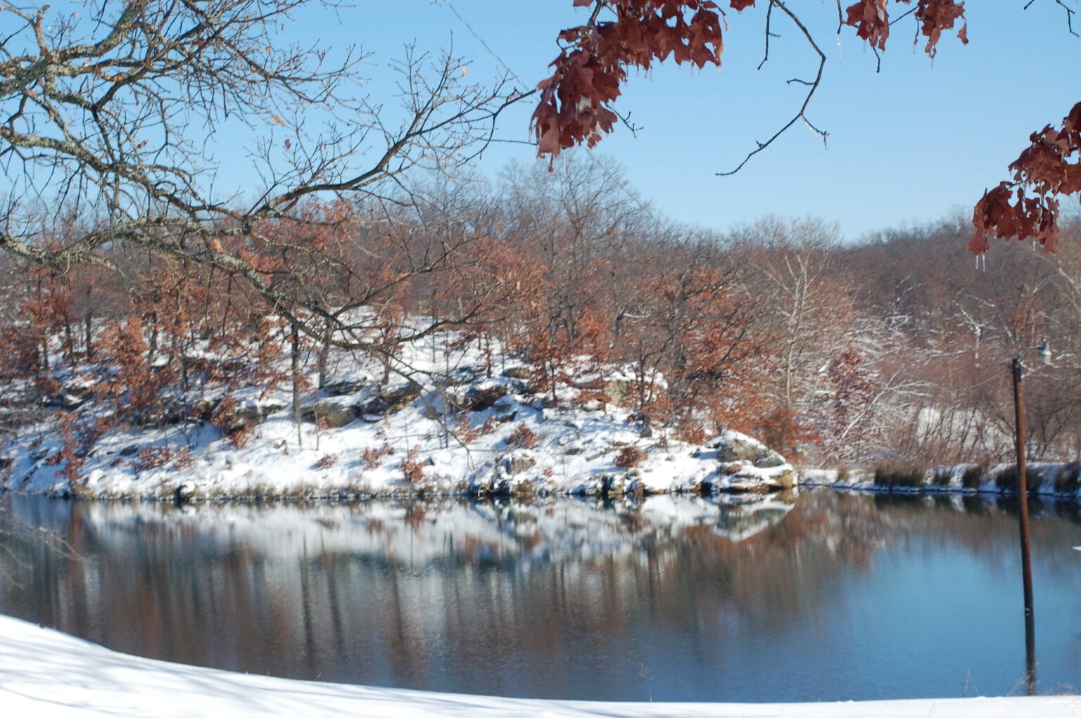 Fry Lake – Geek Reprieve