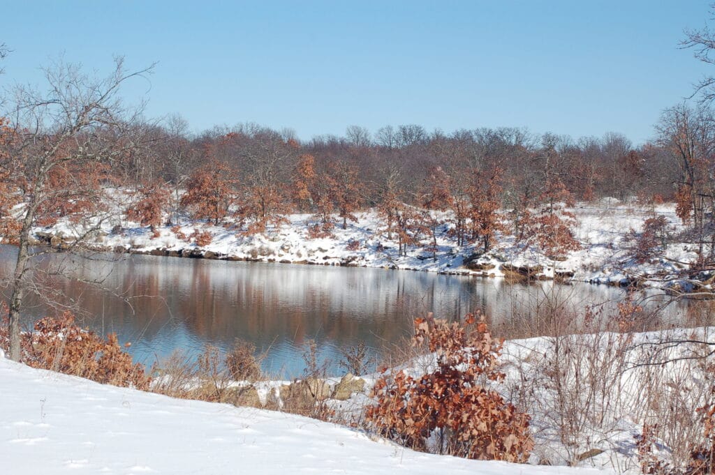 Fry Lake – Geek Reprieve