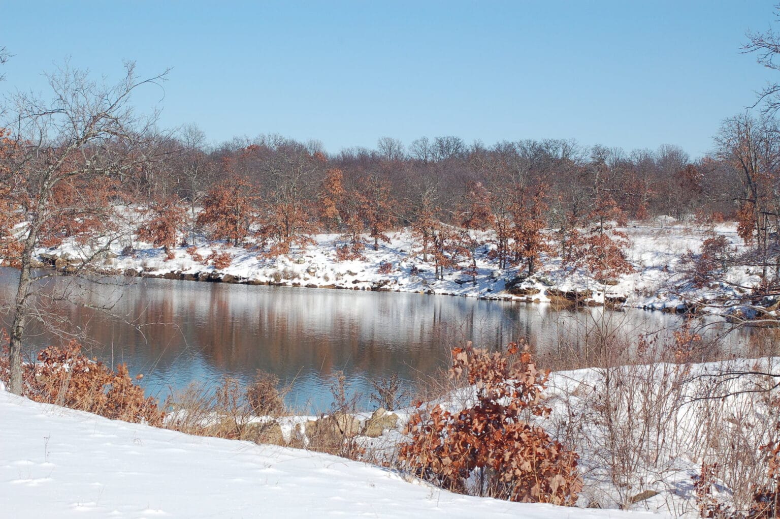 Fry Lake – Geek Reprieve