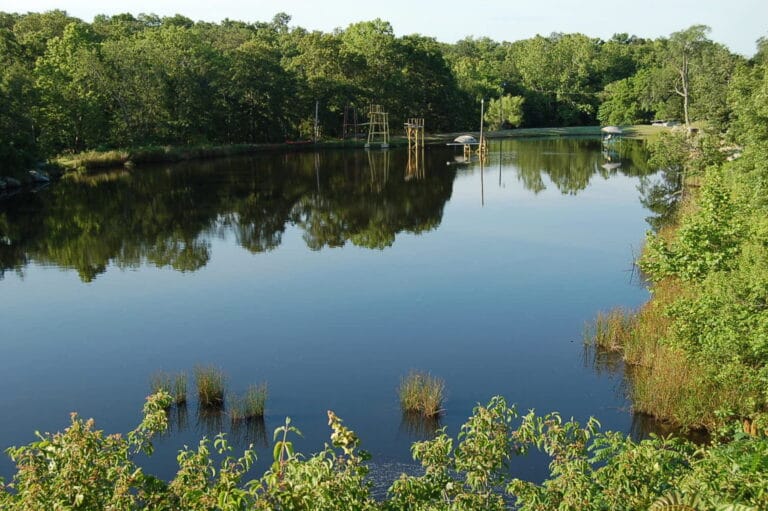 Fry Lake – Geek Reprieve