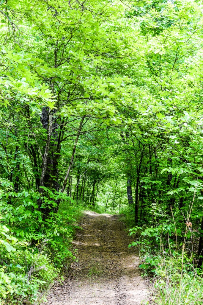 Fry Lake – Geek Reprieve